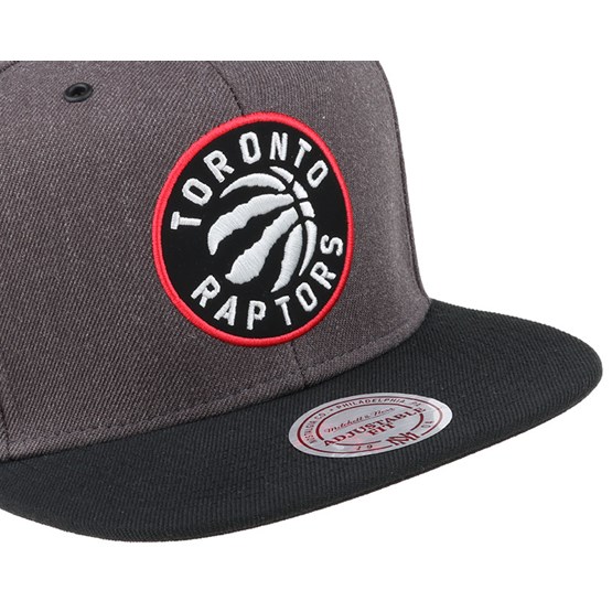 Toronto Raptors G3 Logo Snapback - Mitchell & Ness caps - Hatstoreworld.com