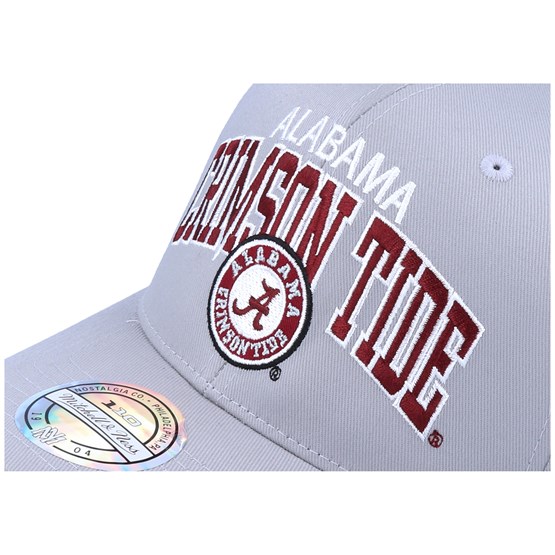 Alabama Crimson Tide Team Arch Grey 110 Adjustable - Mitchell & Ness ...