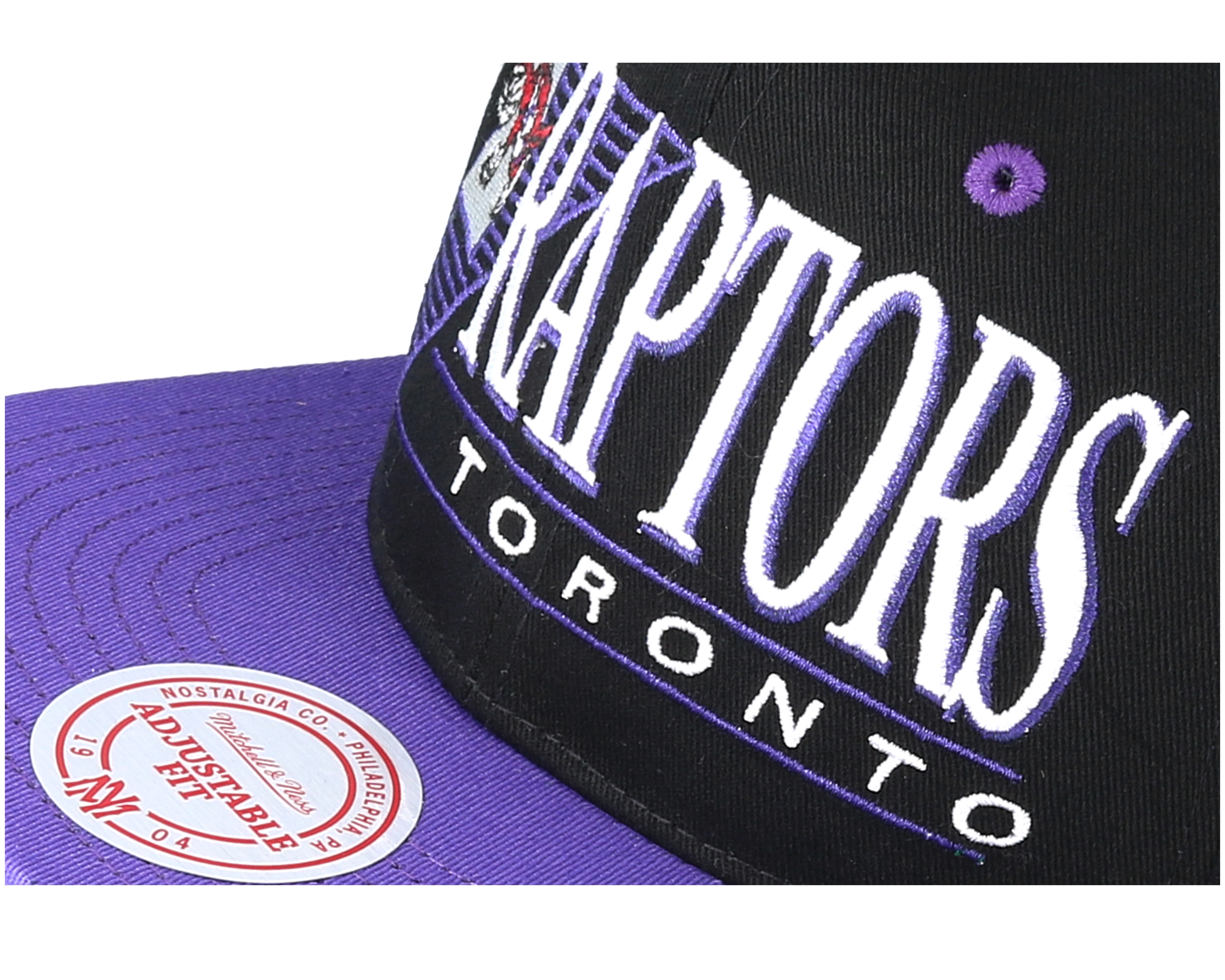 Toronto Raptors Horizon Black/Purple Snapback - Mitchell & Ness caps ...
