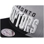 Toronto Raptors Shark Tooth Grey/Black Snapback - Mitchell & Ness caps ...