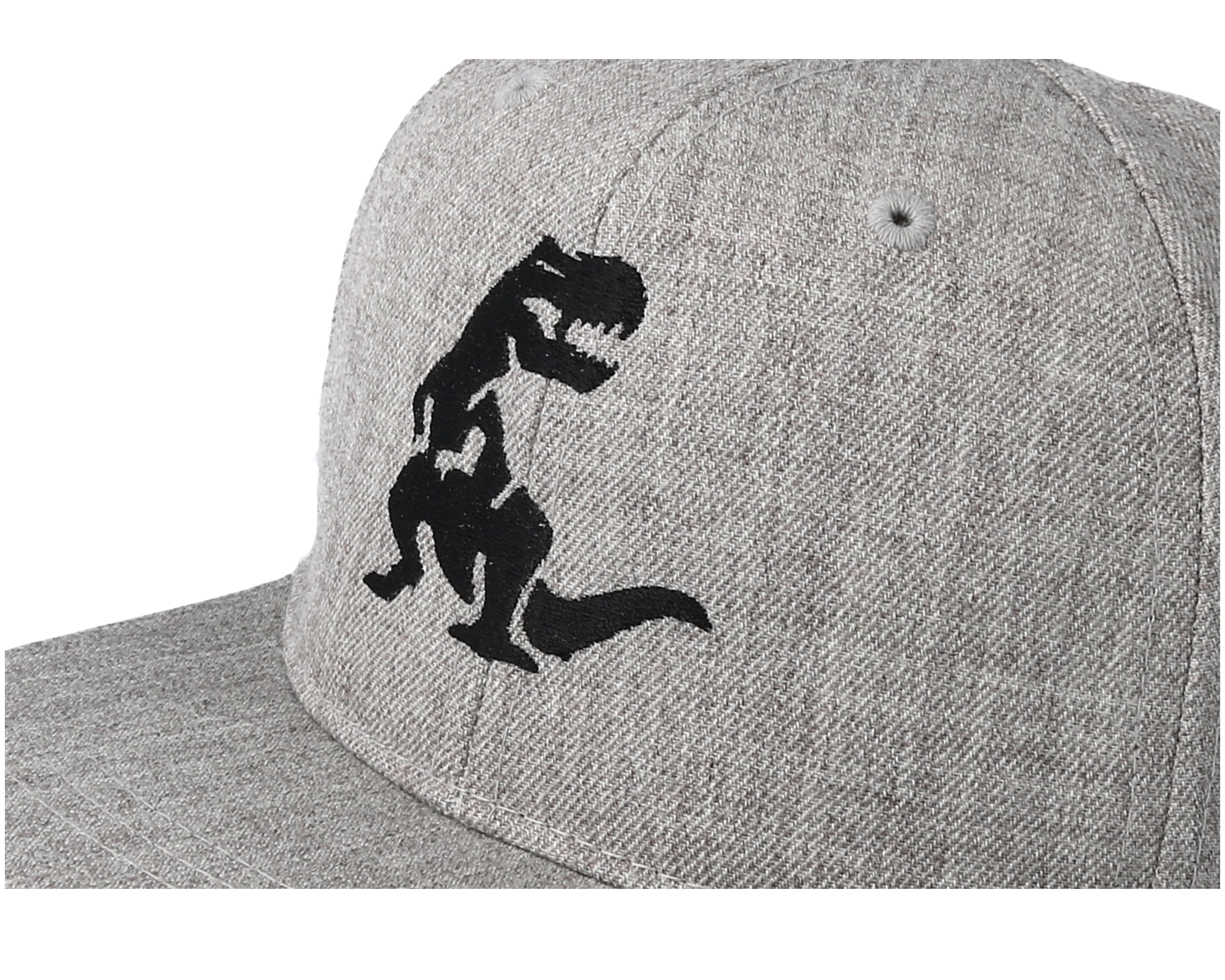 Kids Dino Grey Kids Snapback - Kiddo Cap caps - Hatstoreworld.com