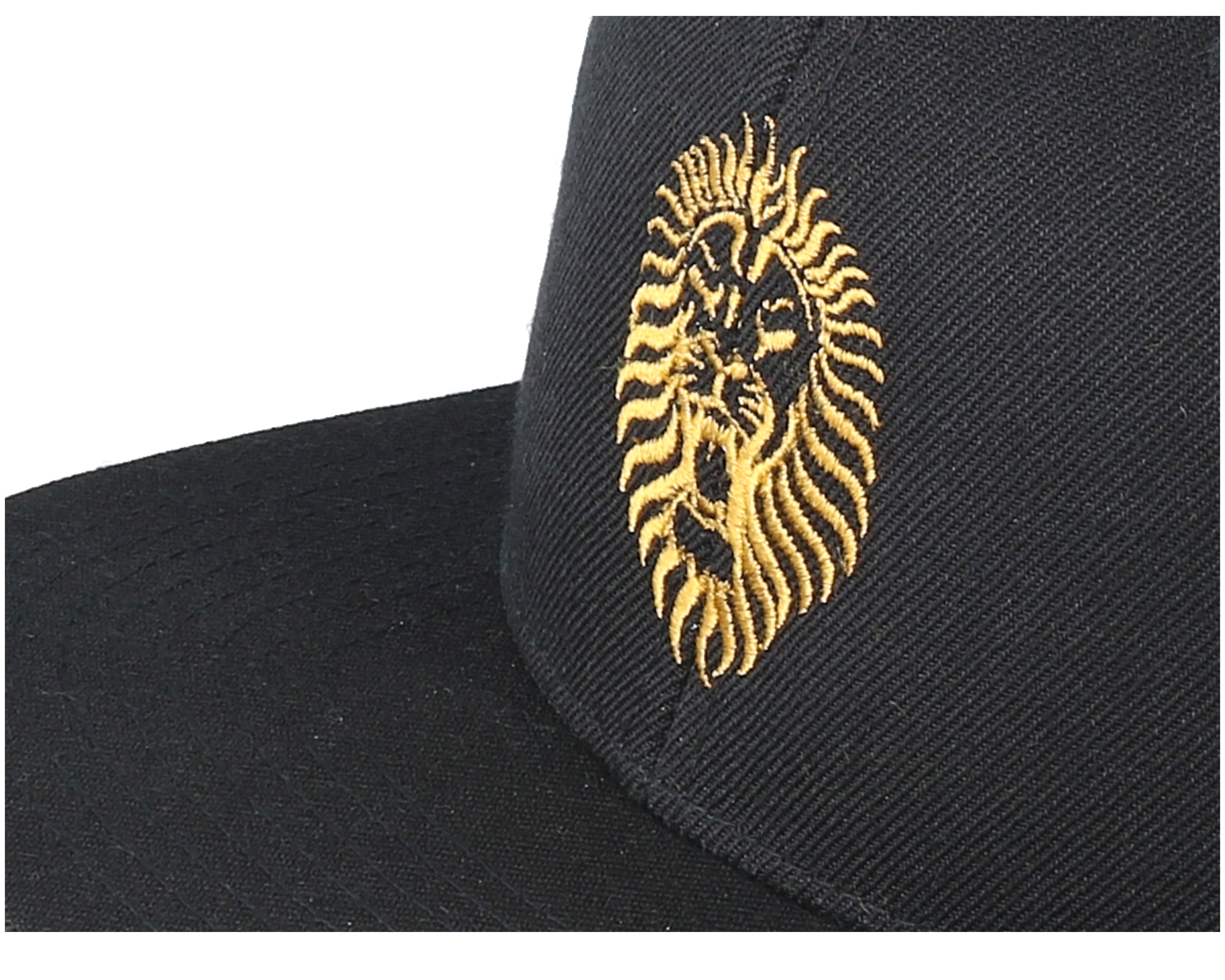 Roar Black/Gold Snapback - Lions caps - Hatstoreworld.com